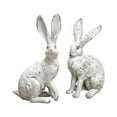 Colaxi 2 Pieces Yard Decorations Garden Decorations Rabbit Statues Home ...
