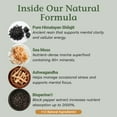 Native Remedies Sea Moss & Shilajit Complex - Natural Energy & Immune ...