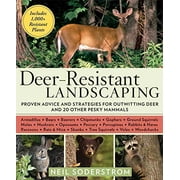 Dear Advice Columnist