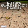TERRO 3 lb Ant Killer Plus Multi-Purpose Insect Control - 2 Pack ...