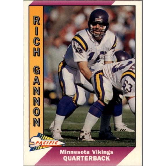 1991 Pacific #301 Rich Gannon NFL Football Trading Card - Walmart.com
