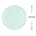 Youngever 10 Inch Plastic Plates, Large Plates, Dinner Plates, Set of 9 ...