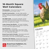 Chickens | 2024 12x24" (Hanging) Monthly Square Wall Calendar ...
