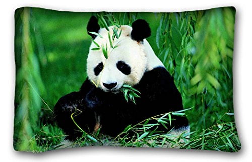 WinHome Custom Popular Cute Panda Pillowcases Standard Design Pillow ...