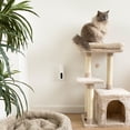 Zesty Paws Cat Calming Diffuser - Starter Kit - Walmart.com