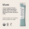 Kencko Organic Instant Fruit and Veggie Smoothies Powder Pack with Blue ...