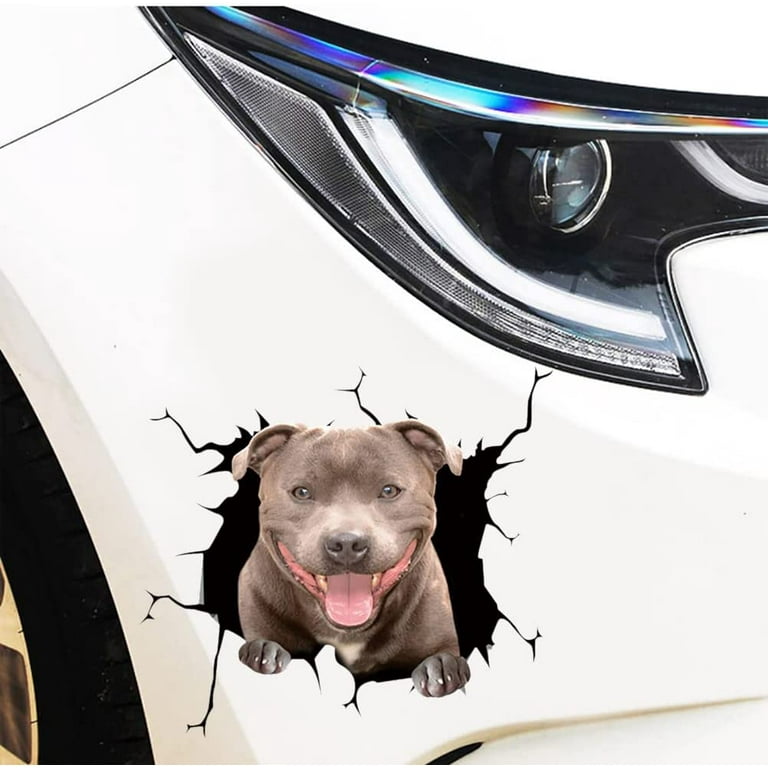 Cute Car Decals And Graphics