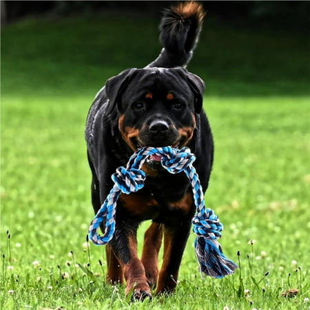 Dog Rope with Spring Pole Safe Retractable Muscle Builder Pet Accessory ...