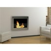 Anywhere Fireplace 90299 SoHo Wall Mountable Stainless Steel Indoor ...