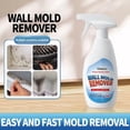 Wall Stain Remover Spray – Powerful Multi-Surface Cleaning Solution for ...