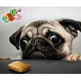 Toops Bundle – Chocolate and Dulce de Leche Filled Cereal, Perfect with ...