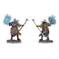 WizKids Pathfinder Battles: Legendary Cuts Male Human Wizard - Walmart.com
