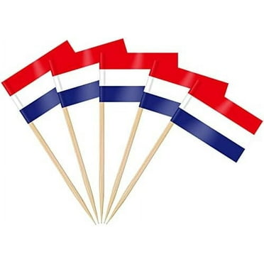 48pcs Racing Flag Toothpick Appetizers Picks Cupcake Toppers Race Car ...