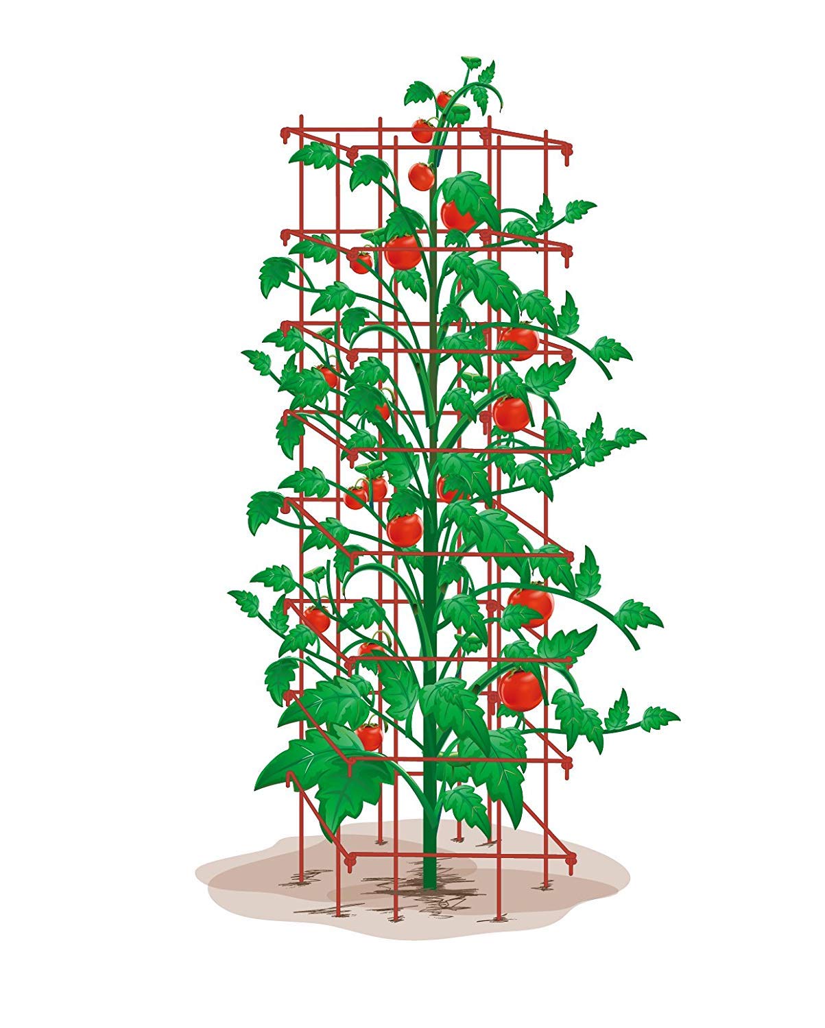 Mr.Garden Vine Trellis Cage - Heavy Duty Trellis 64"H x 14"W Green ...