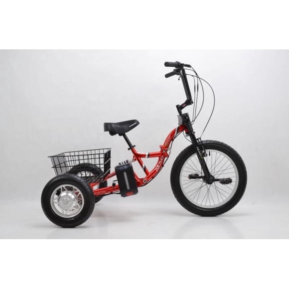 Folding Adult Electric Tricycle