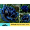 Rare Rose Seeds True Blood Rose Bush 20 Seeds - Walmart.com