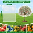 4'x6' Fruit Tree Netting Cover with Zipper and Drawstring, Ultra-Fine ...