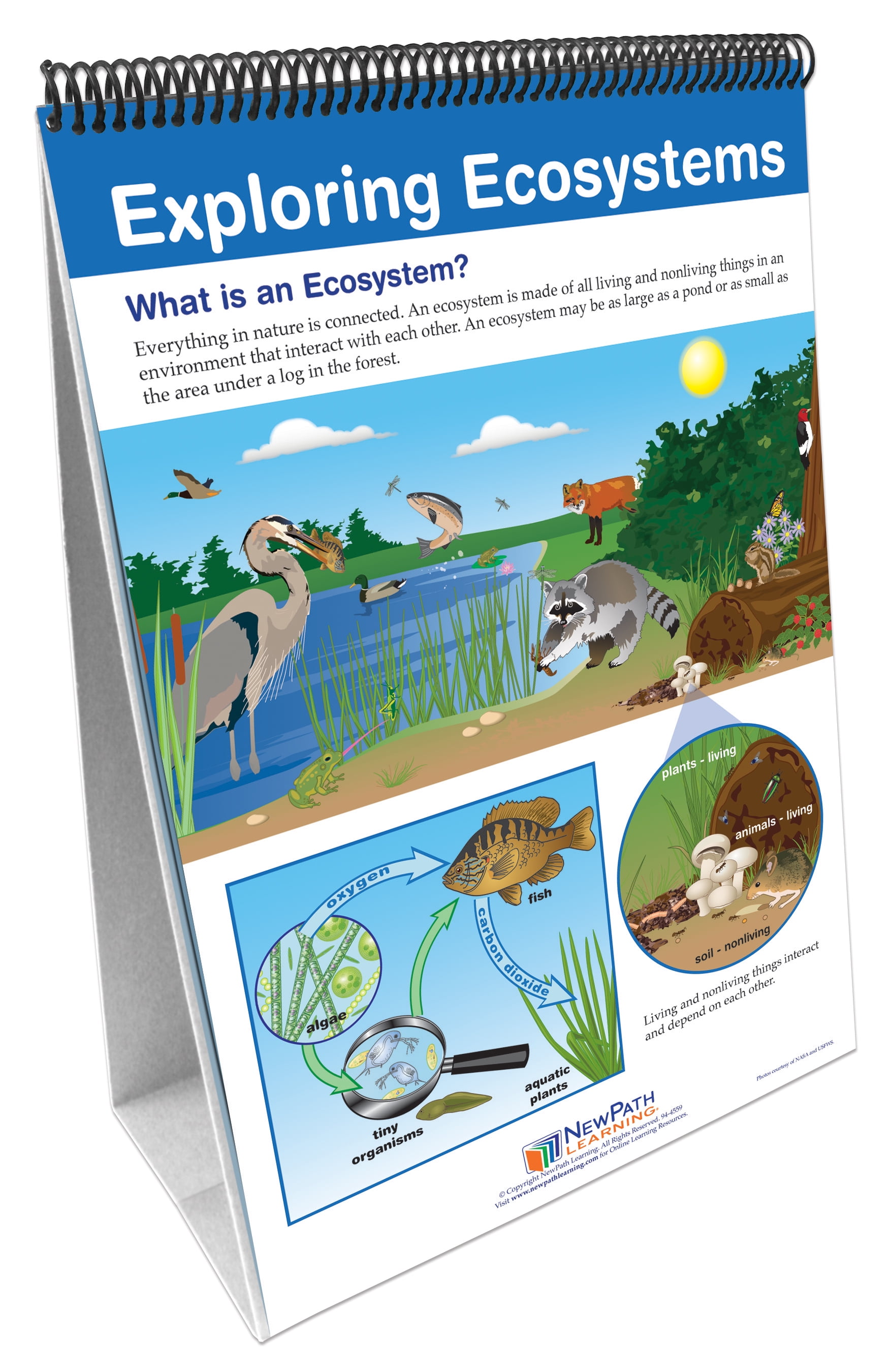 NewPath Learning Ecosystems Flip Chart Set - Walmart.com
