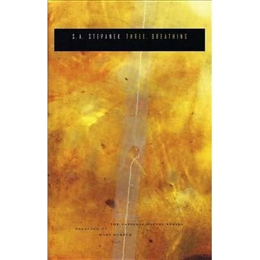 National Poetry Corruption: Poems, (Paperback) - Walmart.com