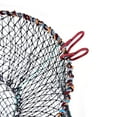 Kritne Crayfish Net,17.7x9.84in Foldable Lobster Crayfish Crab Shrimp ...