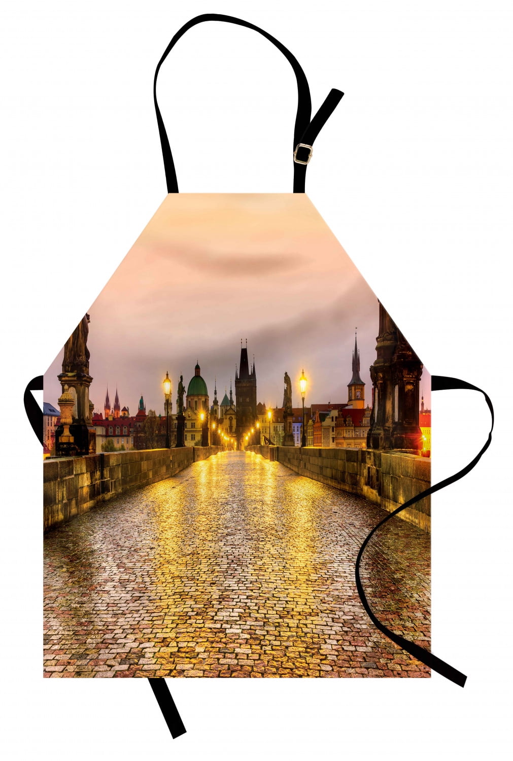 Landscape Apron Charles Bridge Old Town in Prague Czech Republic with ...