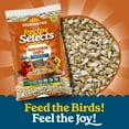 Pennington Recipe Selects Sunflower Chips Wild Bird Food, 15 lb ...