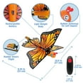 Zing Go Go Bird Butterfly-Remote Control Flying Toy, Great Starting RC ...
