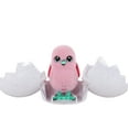 Little Live Pets Surprise Pink Chick, Colors and Styles May Vary, Ages ...