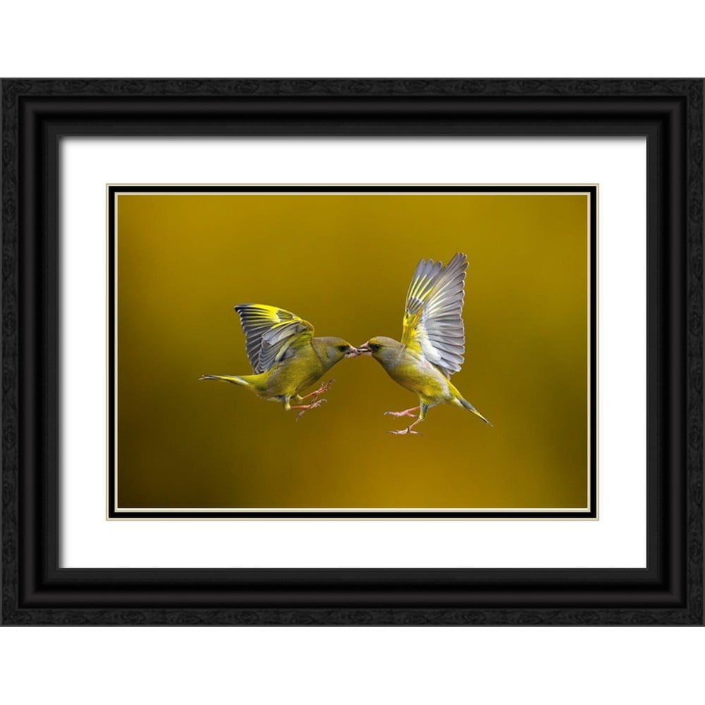 Redaelli, Marco 24x17 Black Ornate Wood Framed with Double Matting ...