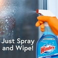 Windex Commercial Line Glass Cleaner, 32 fl oz - Streak-Free Shine ...