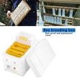 Queen Bee Rearing Mating Beehive Beekeeping Tool Foam Pollination Box ...