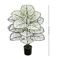 Njshnmn White Variegated Anthurium Leaves Faux With White Marbling For ...
