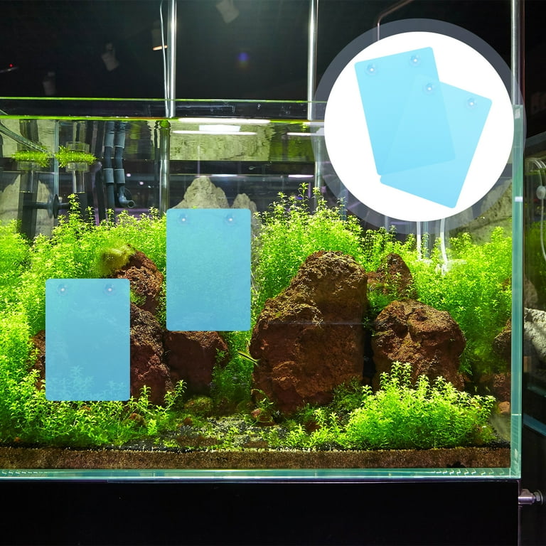 Angelfish Breeding Slate