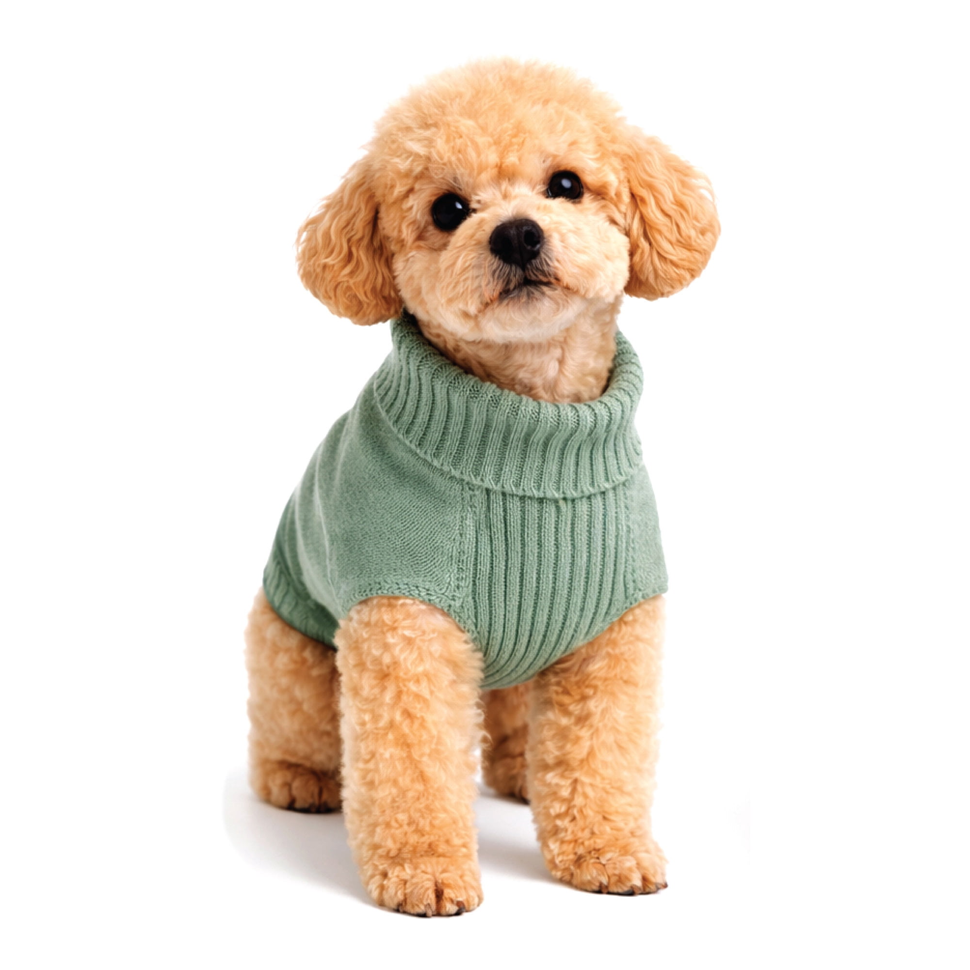 Click here for One Paw  Sage Green Ribbed Turtleneck Dog Sweater... prices