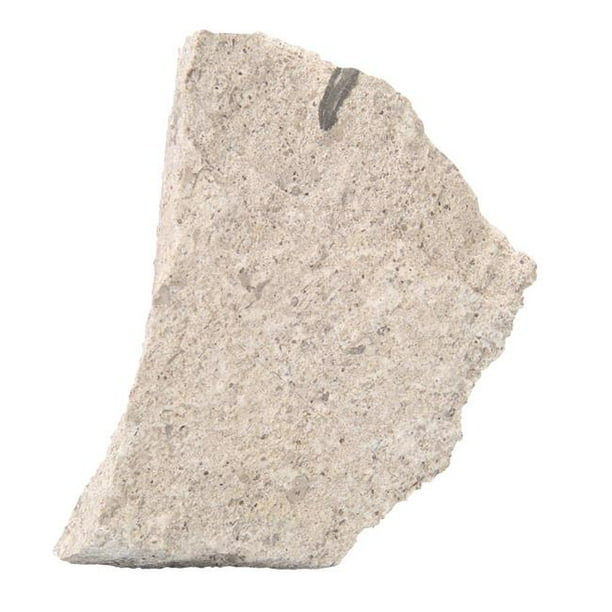 Hand Sample Granular Oolitic Limestone - Walmart.com