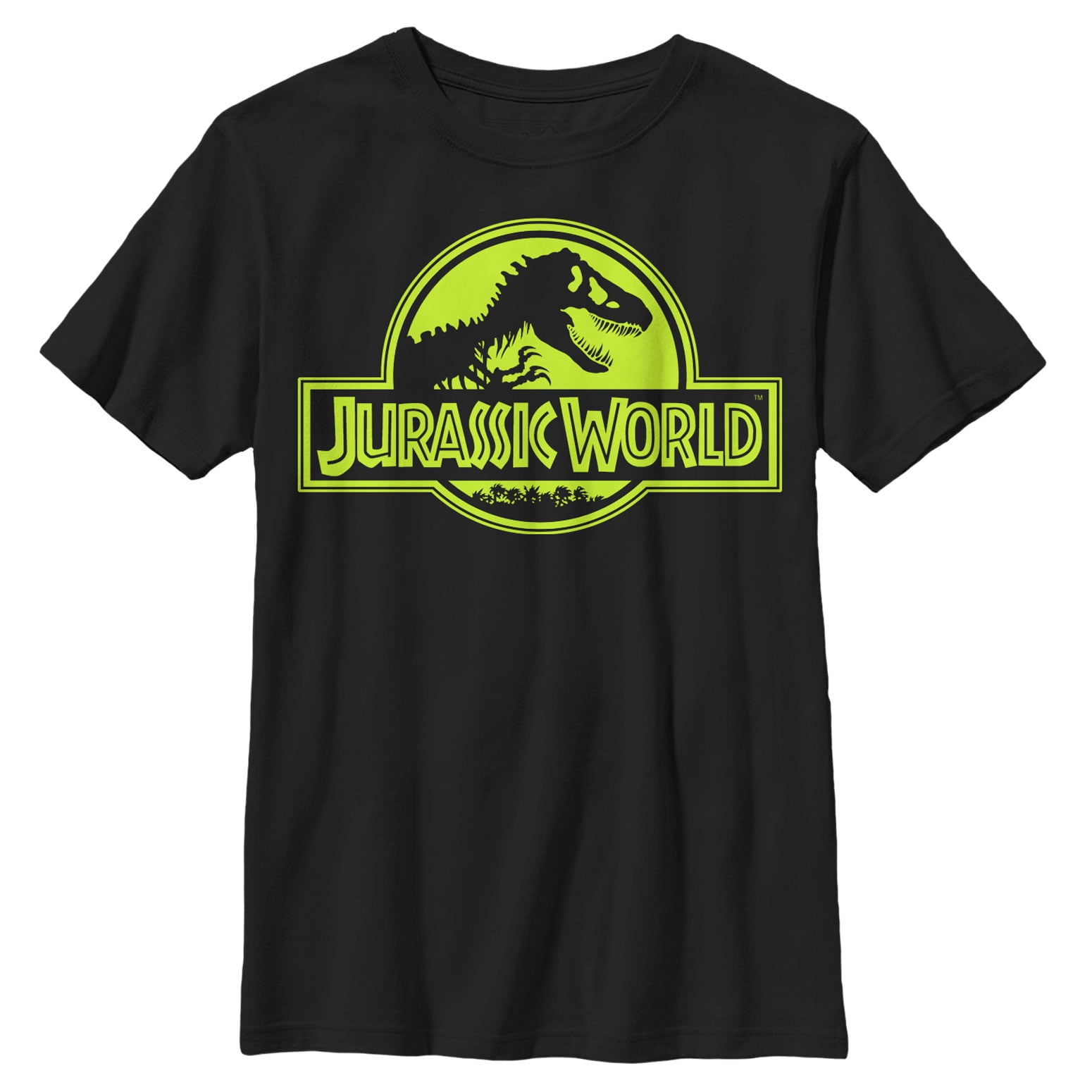 Boy's Jurassic World Retro T. Rex Logo Graphic Tee Black Small ...
