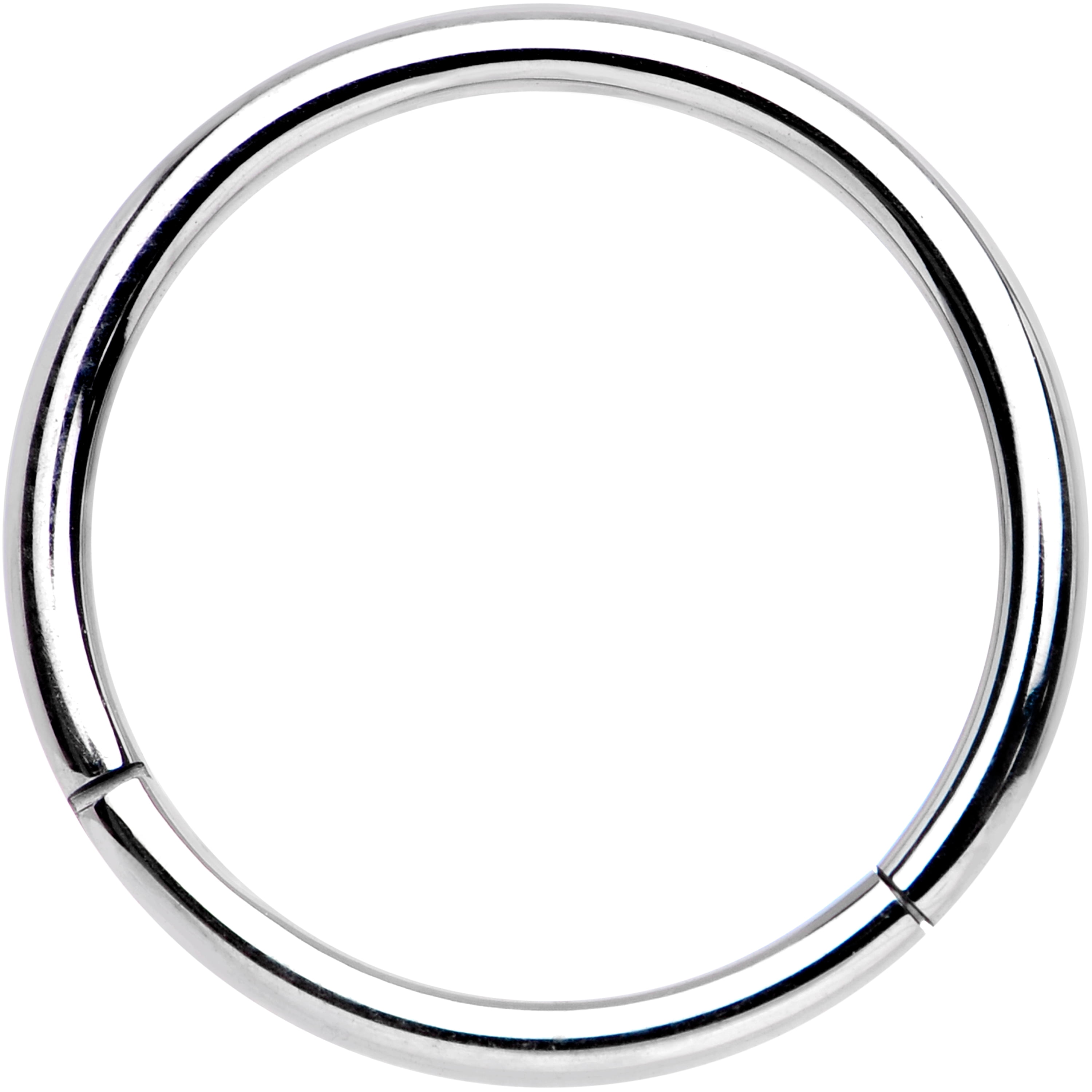 Body Candy Solid G23 Implant Grade Titanium Hinged Segment Ring 16 ...