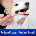 Virbac CET Enzymatic Tartar Control Toothpaste for Dogs & Cats, Poultry ...