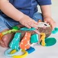 Bright Starts Playful Pals Take-Along Activity Toy - Sloth, Ages ...