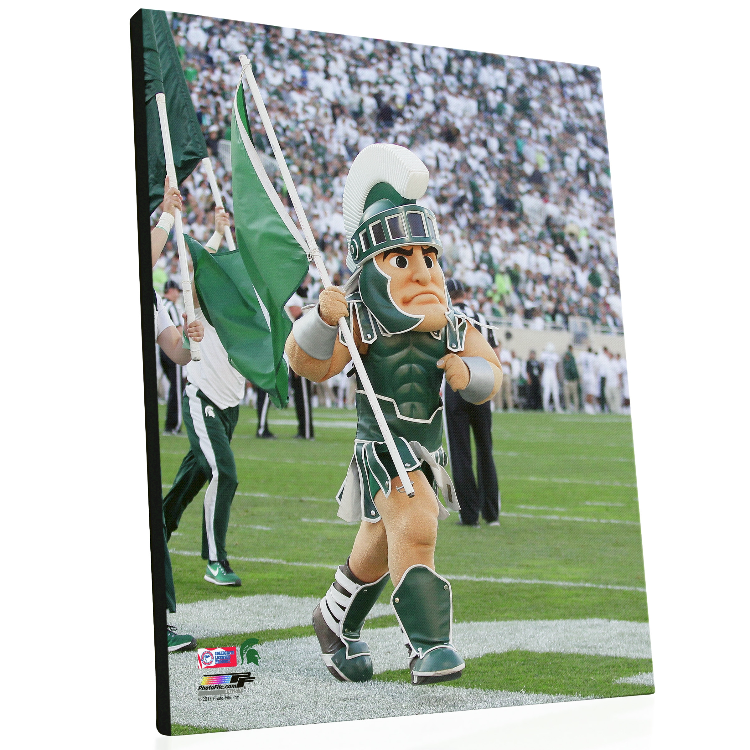 Sparty, The Michigan State University Spartans Mascot 2017 20"x24 ...