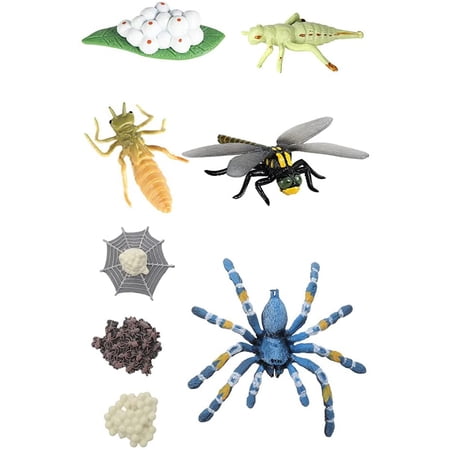 2 Sets Dragonfly Growth Cycle Animal Growth Cycle Model Toy Growth ...