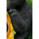 Alpine Solar Bear with Sunflower Statuary, 10 Inch Tall - Walmart.com