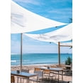 Abstract Ray Tulip Sun Shade Sail 8'X10' Transparent Blue Flower UV ...