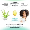 Dr. Moritz Vegan Omega 3 DHA & EPA Supplement 1000mg Algae Omega-3 for ...