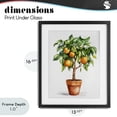 Stupell Industries Potted Orange Tree Black Framed Print Under Glass ...