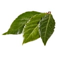 Fresh Bay Leaves, 0.25 oz Clamshell - Walmart.com