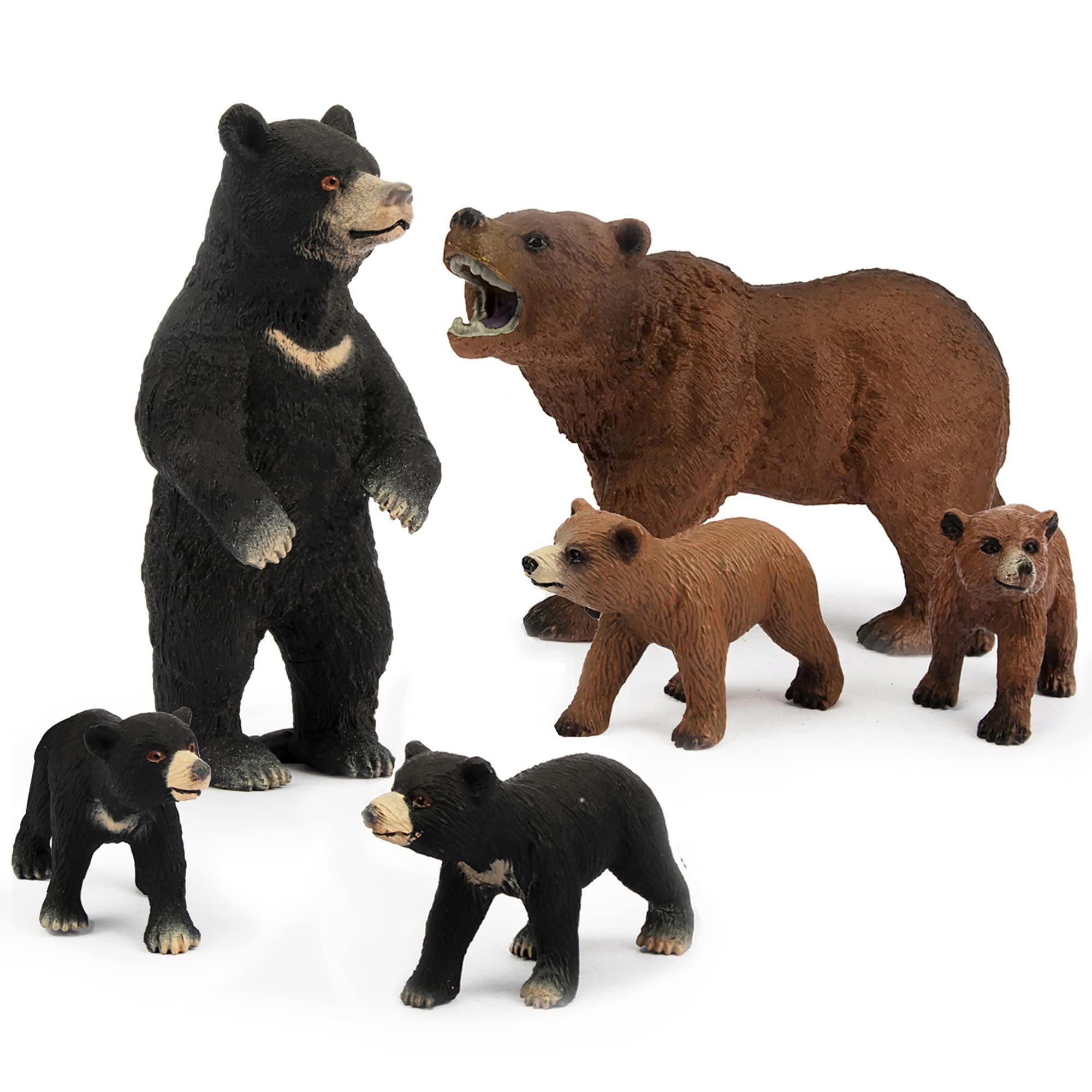 Brown Bear Pictures For Kids