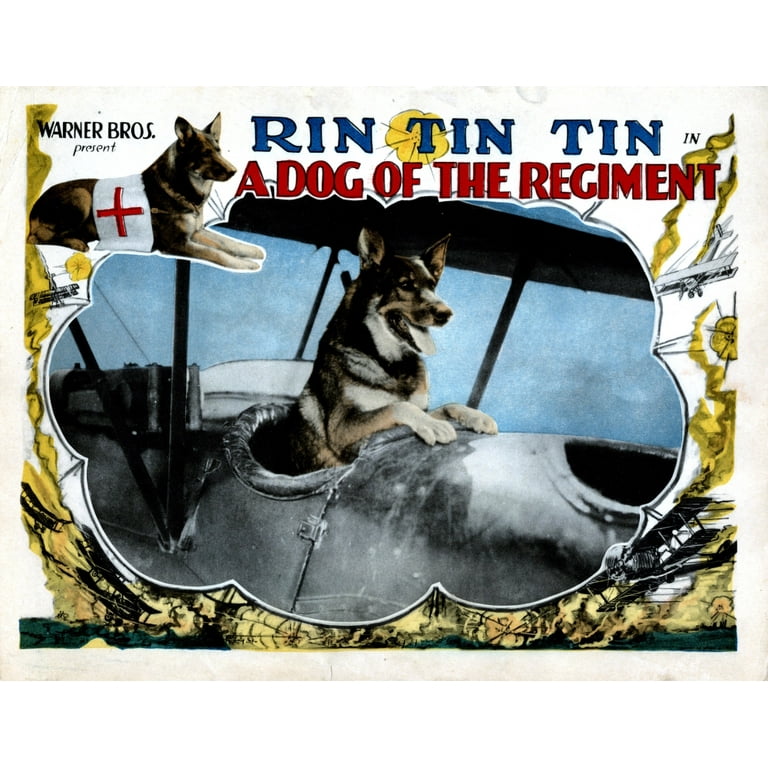 Tin Tin Movie Poster
