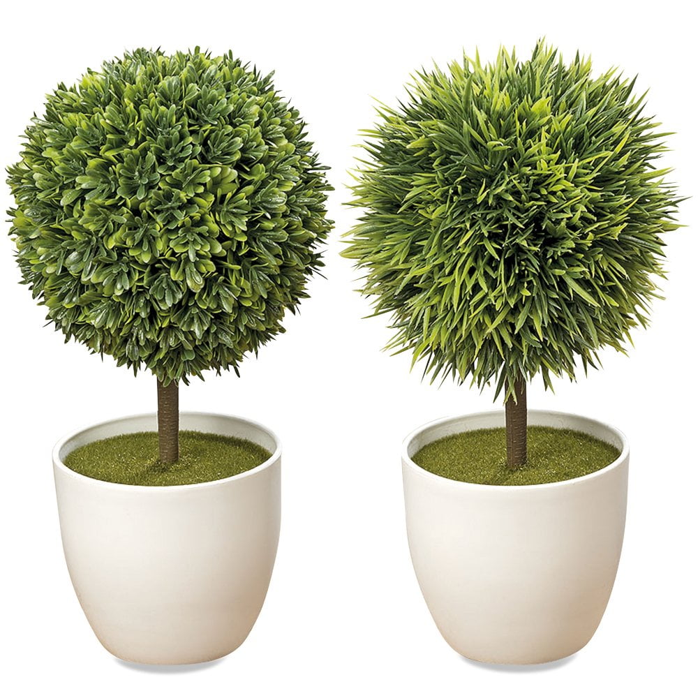 Realistic Faux Mini Ball Topiary Tree Plants in White Pots, Set of 2 ...