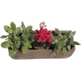 and Dakota Rectangular Planter Box w/Drain Plug - Small Succulent Pots ...